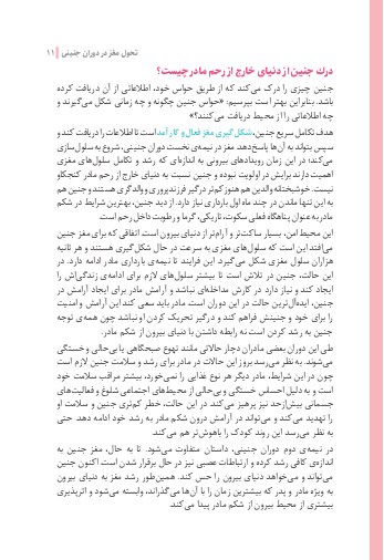 دانلود Pdf کتاب مغز کودک من فاطمه کشوری 📗
